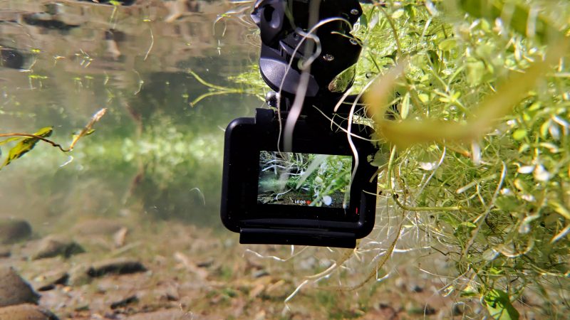 Augmented Reality Streams