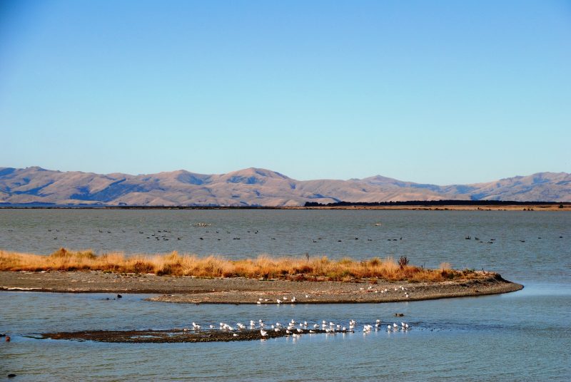 Fishermans Point Te Waihora Credit te Runanga o Ngai Tahu